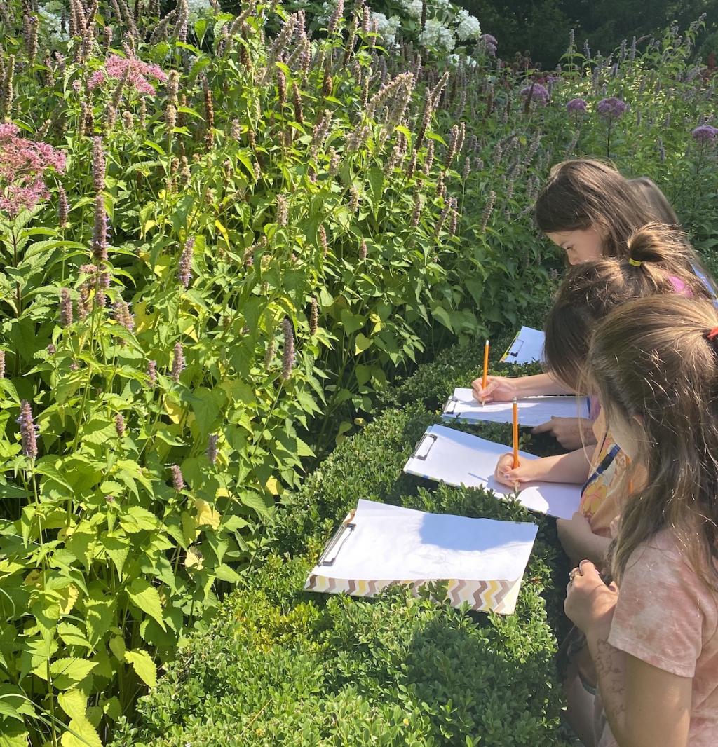 SummerART at Van Vleck Session 3 | Montclair Art Museum